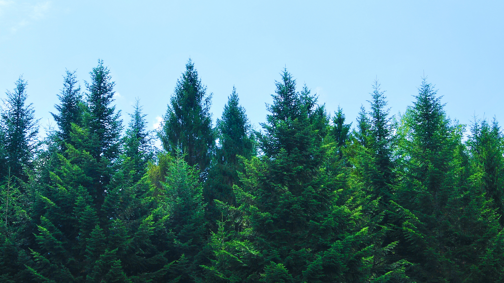 Climate Positive Meaning And The Whys And Hows | Seep